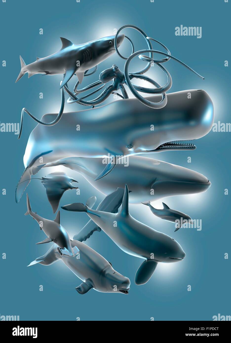 Sea creatures, computer illustration Stock Photo - Alamy