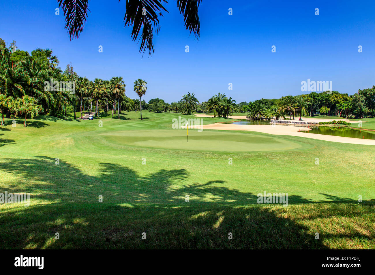 Beautiful green golf course fairway and sand bunkers in a sunny day ...