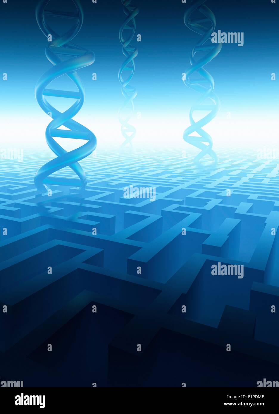 Deoxyribonucleic acid (DNA) strands, computer illustration Stock Photo ...