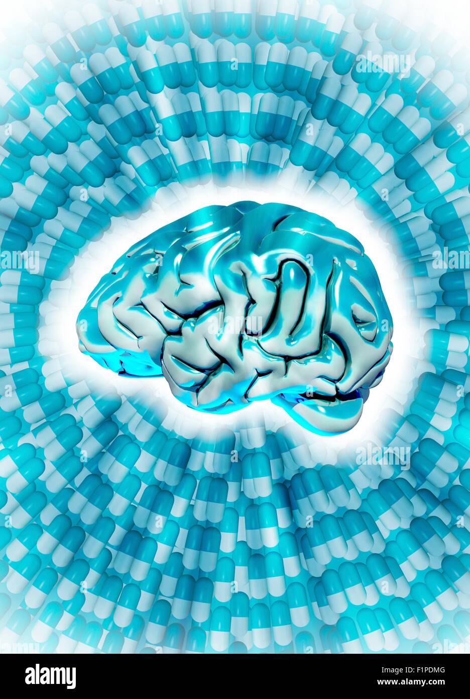 The human brain, computer illustration Stock Photo - Alamy