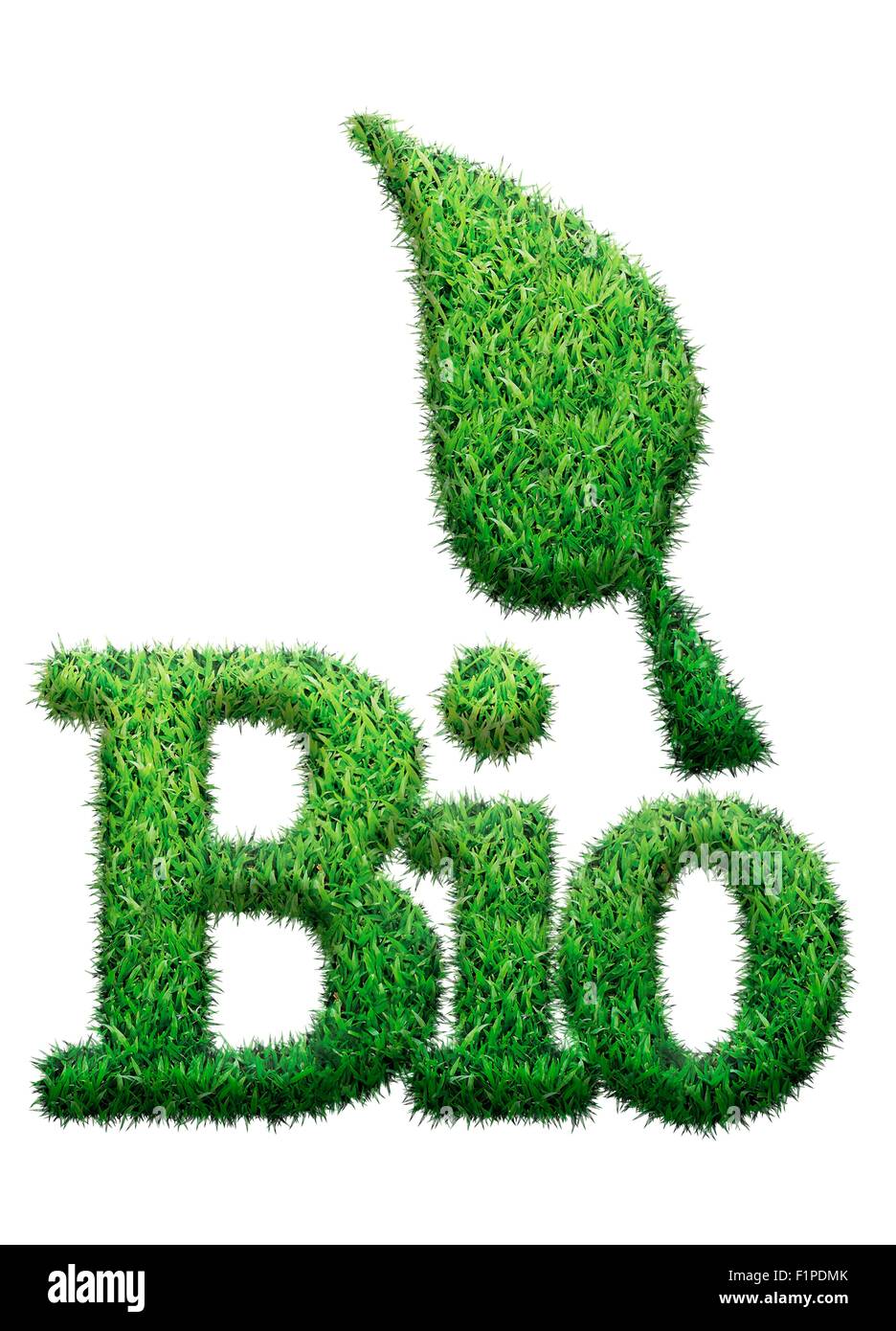 Biodiversity illustration Cut Out Stock Images & Pictures - Alamy