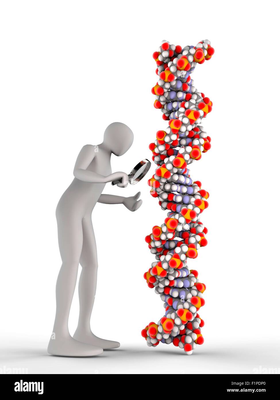 3d man inspecting a DNA chain with a magnifying glass Stock Photo - Alamy