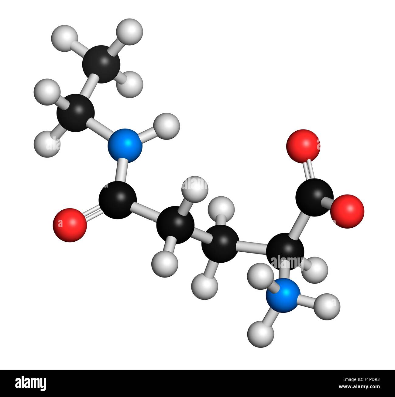 Theanine herbal molecule Constituent of tea prepared from Camellia ...
