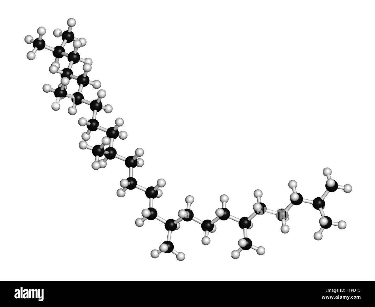 Squalane molecule Saturated compound derived from squalene Used in ...