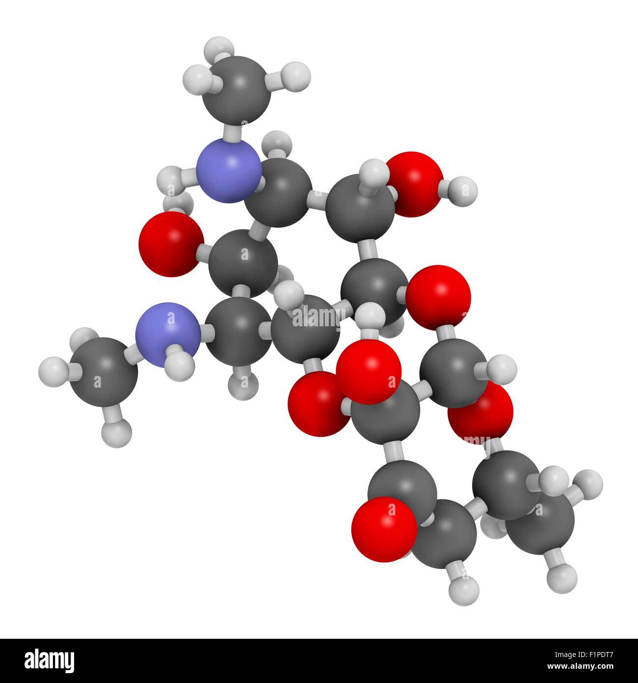 Gonorrhoea infection hi-res stock photography and images - Alamy