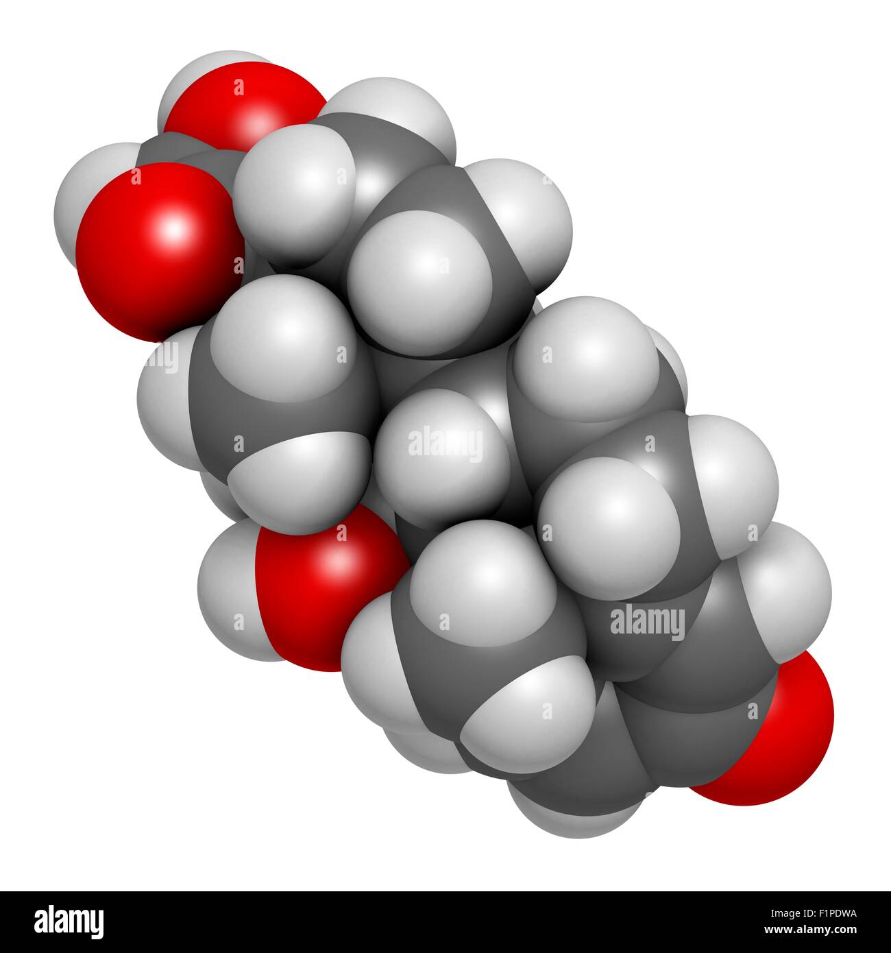 Prednisolone corticosteroid drug molecule Atoms are represented as ...