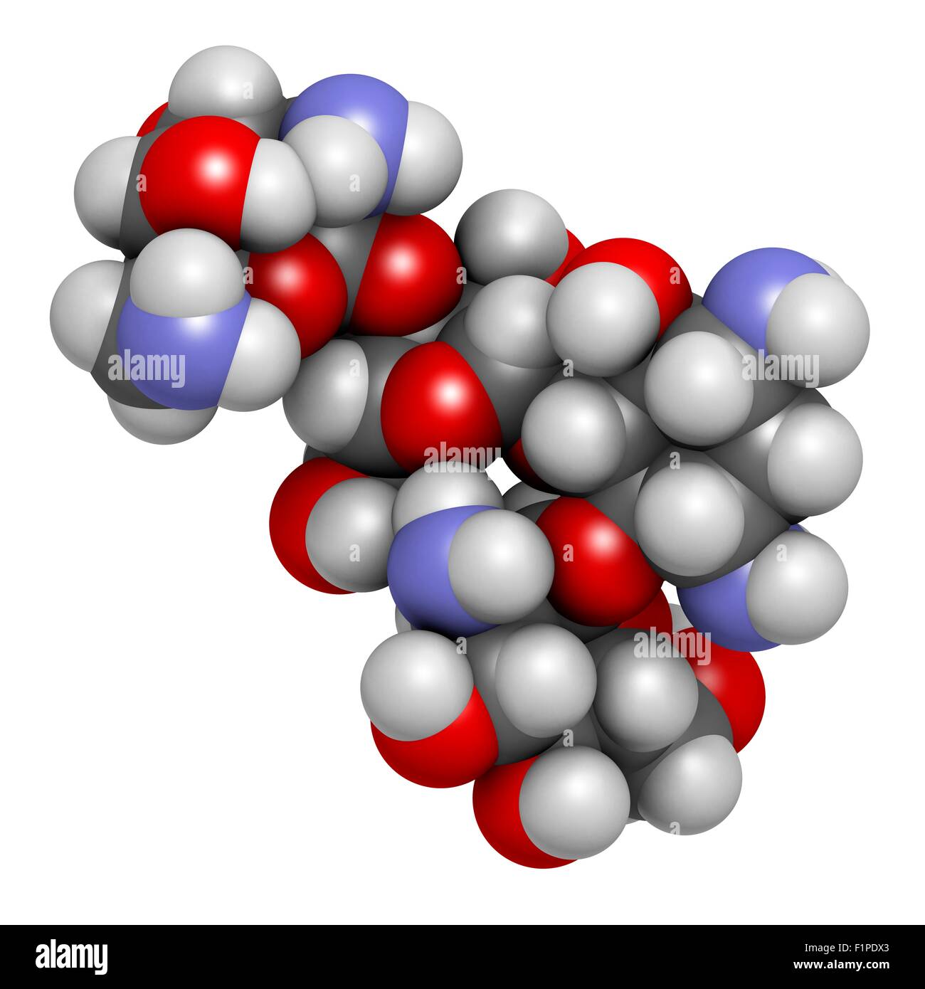 Paromomycin aminoglycoside antibiotic drug molecule Atoms are ...