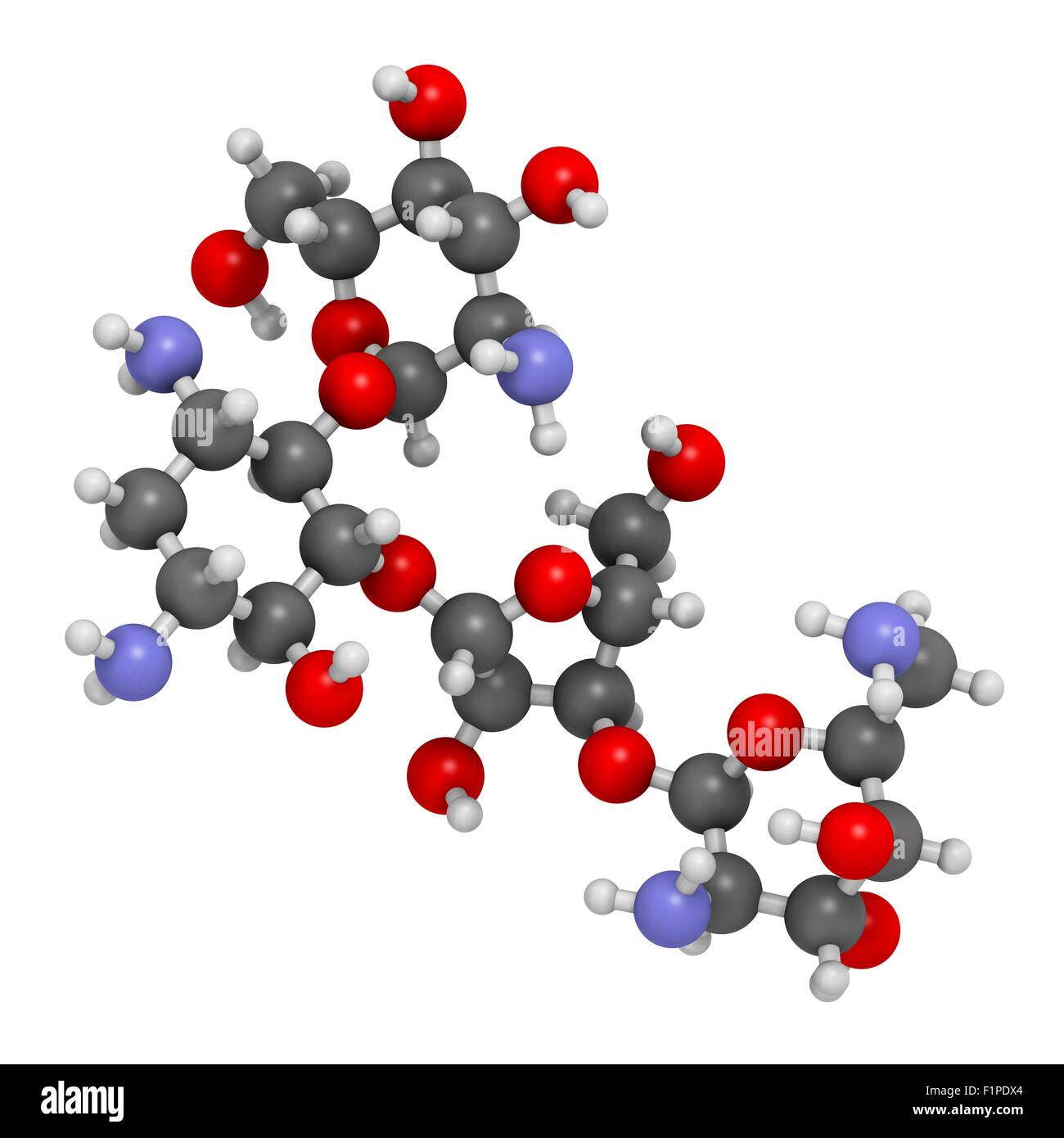 Paromomycin aminoglycoside antibiotic drug molecule Atoms are ...