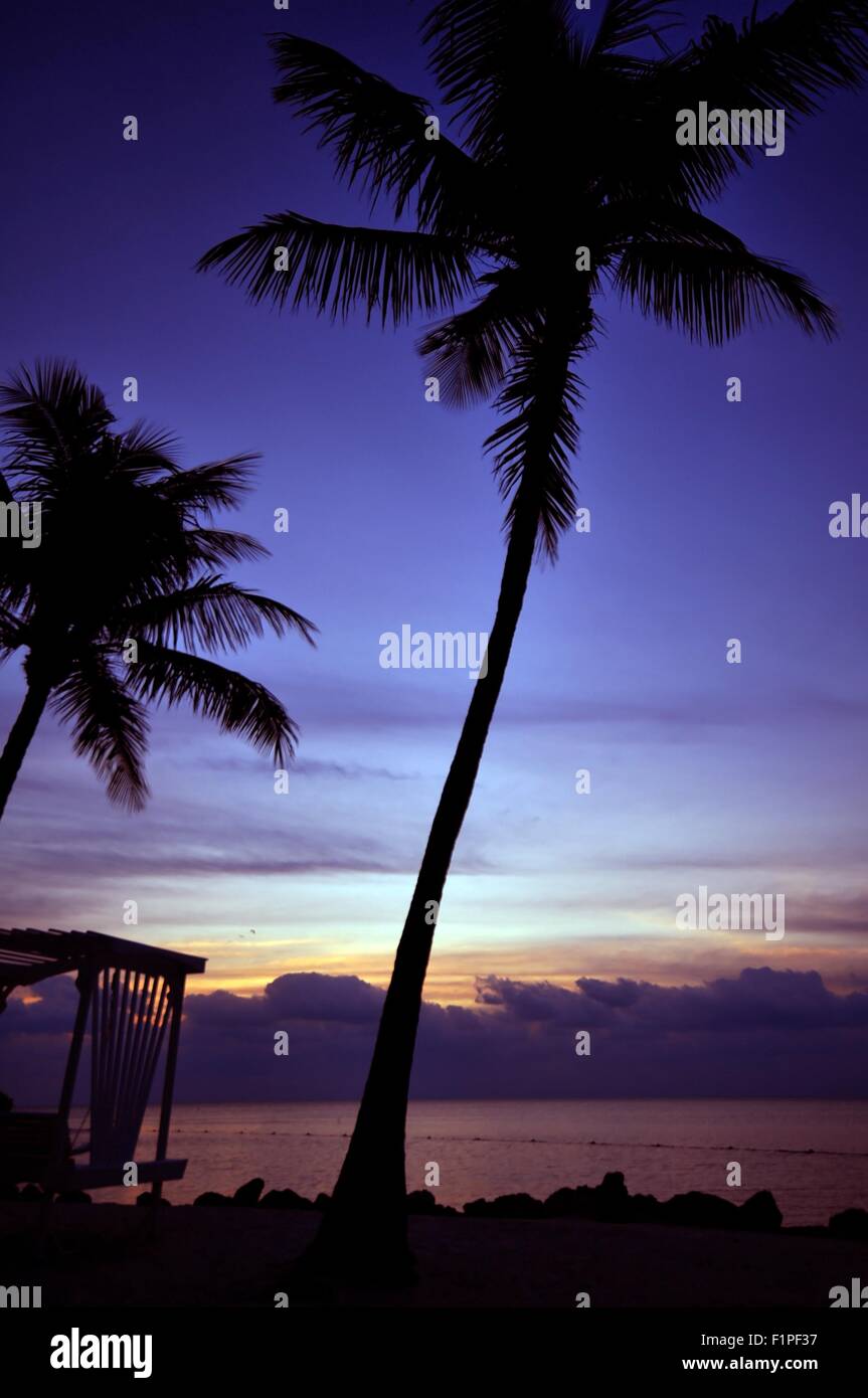 Panoramic sunset view palm hi-res stock photography and images - Alamy
