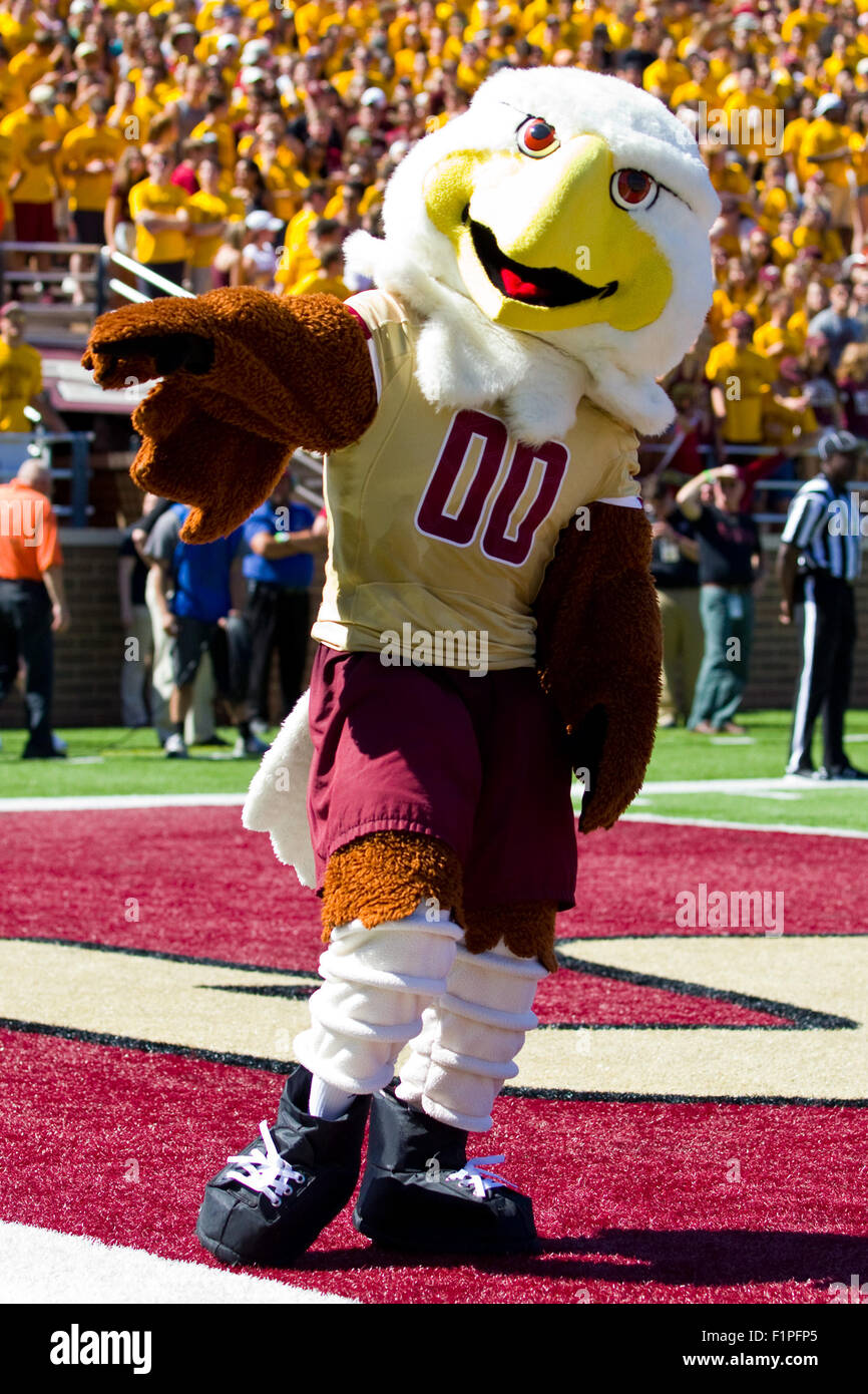 Boston college eagles mascot hi-res stock photography and images - Alamy