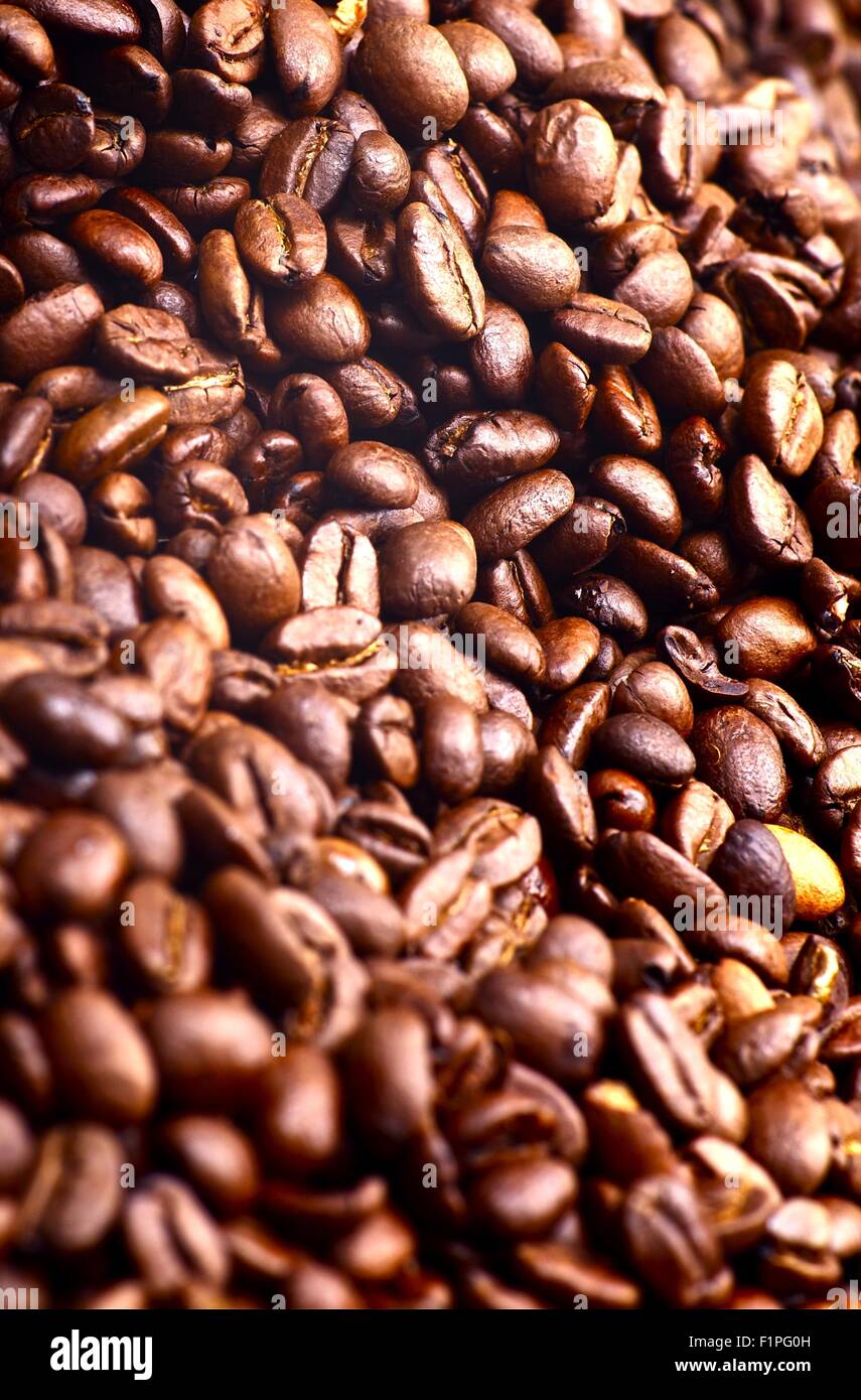 Fresh Coffee Beans Vertical Background. Full of Taste and Flavor Coffee ...
