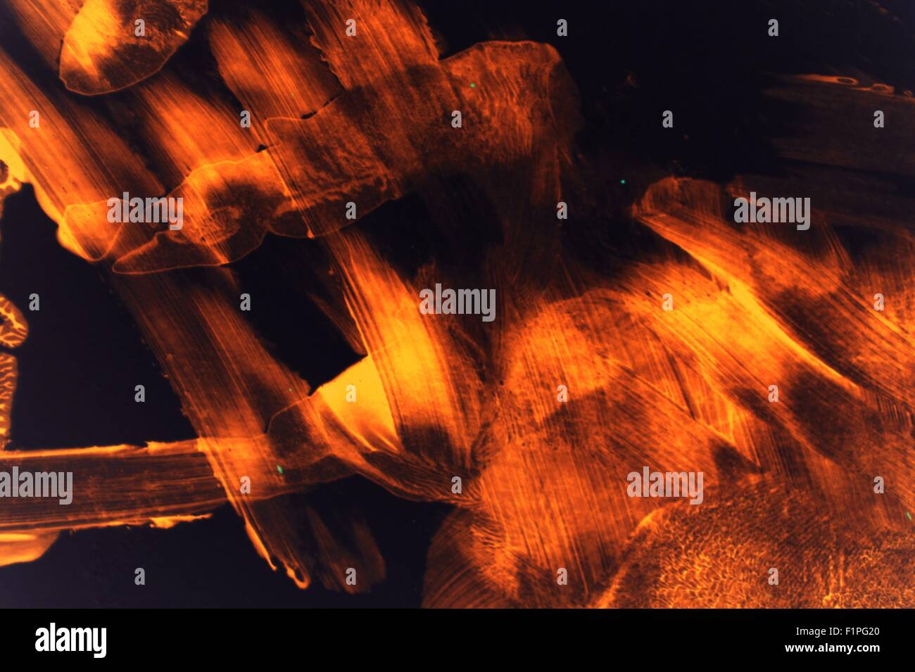 Fire Brush - Grunge Background, Texture with Burning Colors. Background ...