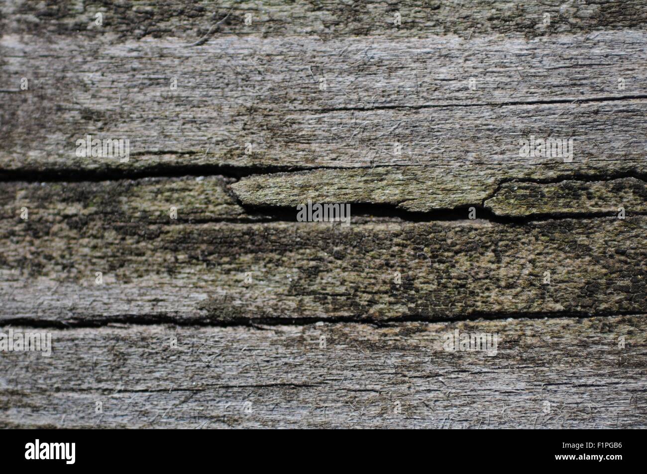 Cracked wood texture hi-res stock photography and images - Alamy