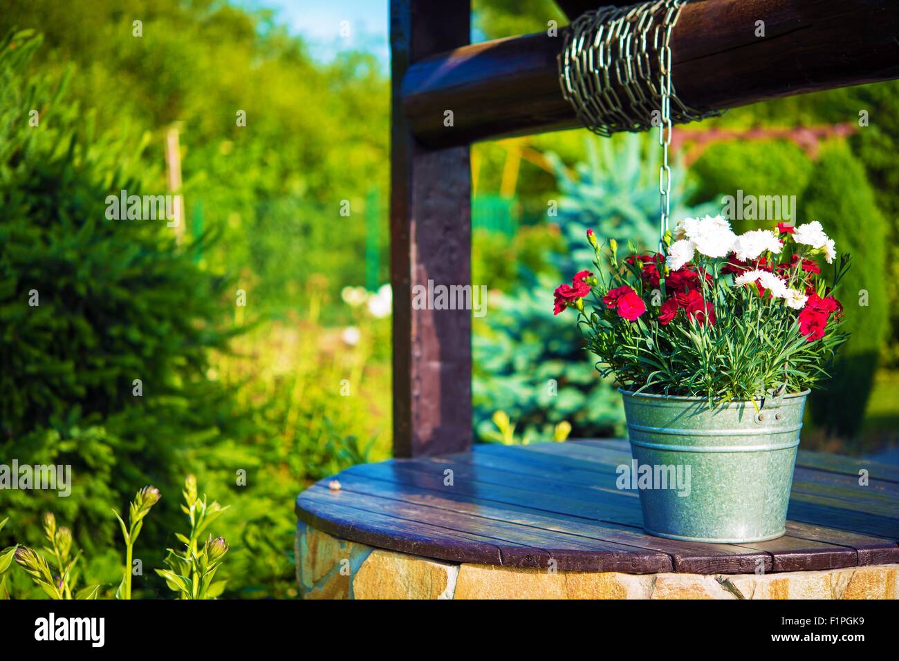 Decorative Flowers Bucket on a Well. Creative Backyard Garden Elements ...