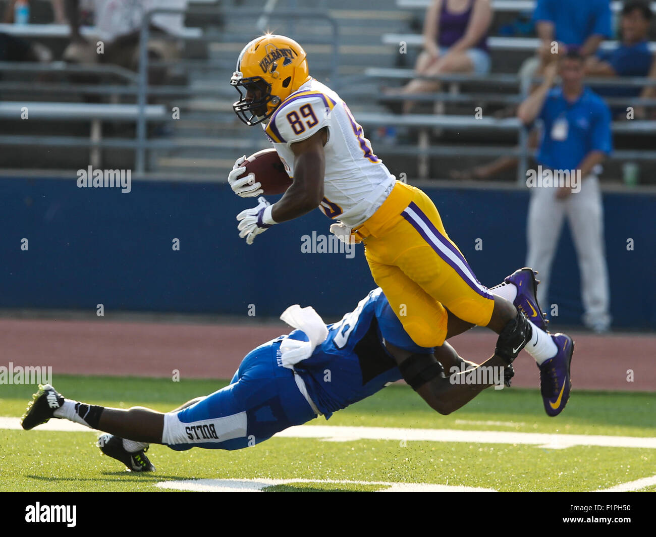 Albany great danes football hi-res stock photography and images - Alamy