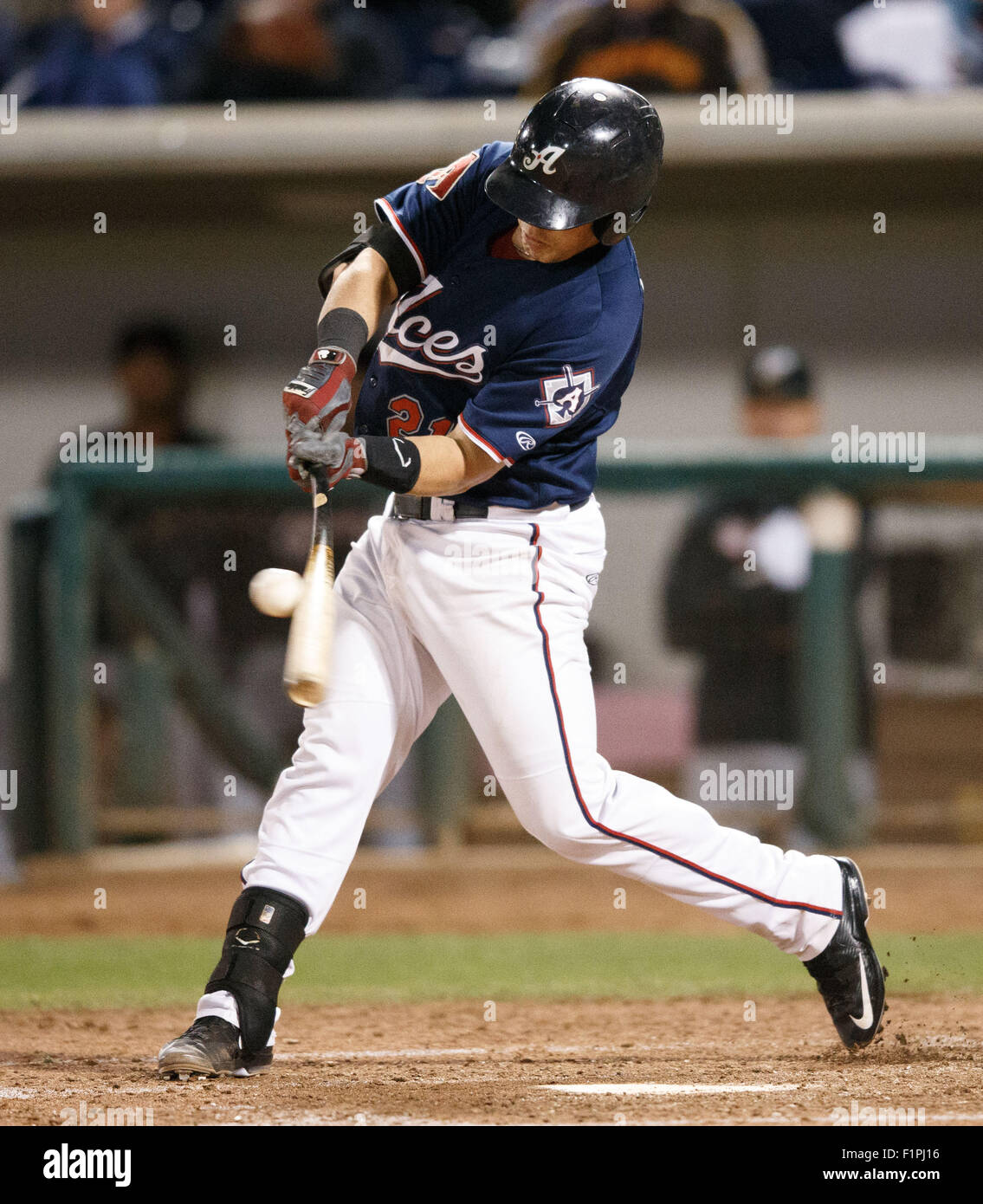 El Paso Chihuahuas Stock Photos & El Paso Chihuahuas Stock Images - Alamy