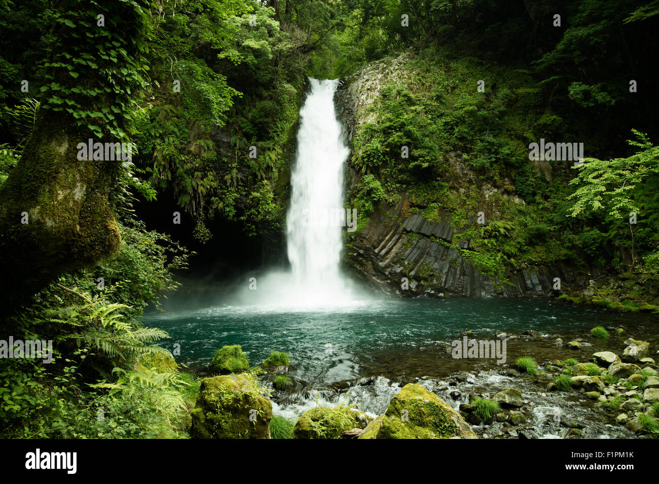 Lush green waterfall in Izu, Japan Stock Photo - Alamy