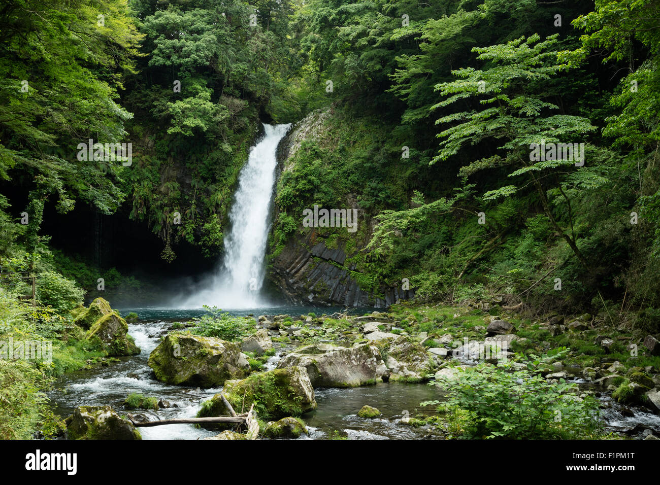Lush green waterfall in Izu, Japan Stock Photo - Alamy
