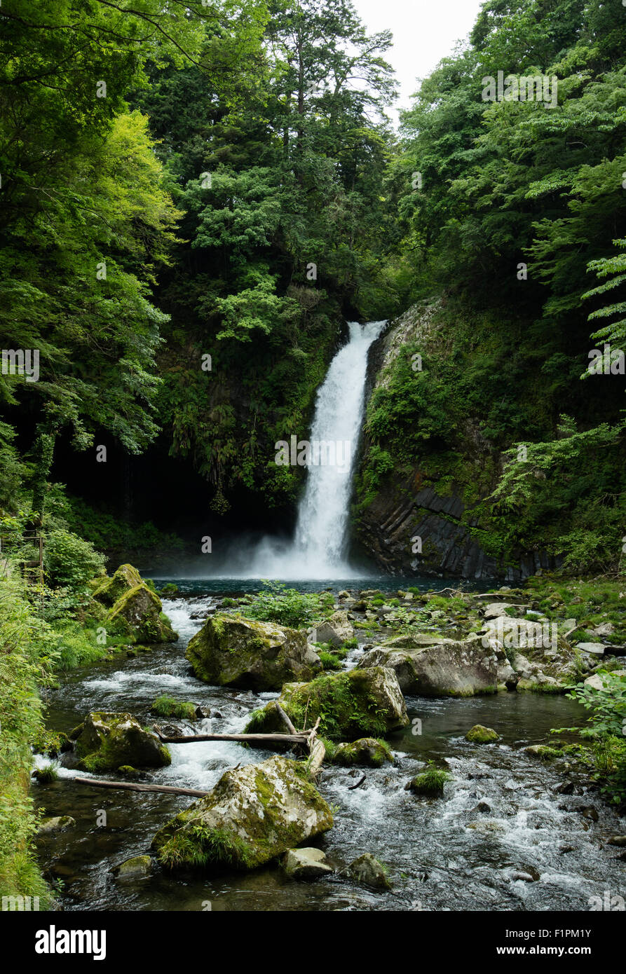 Lush green waterfall in Izu, Japan Stock Photo - Alamy