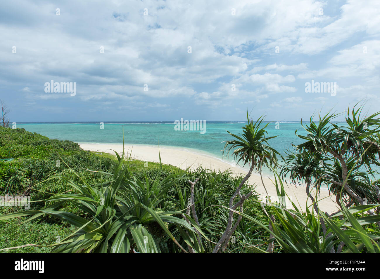 Beautiful Japanese Coastline, Okinawa, Japan Stock Photo - Alamy