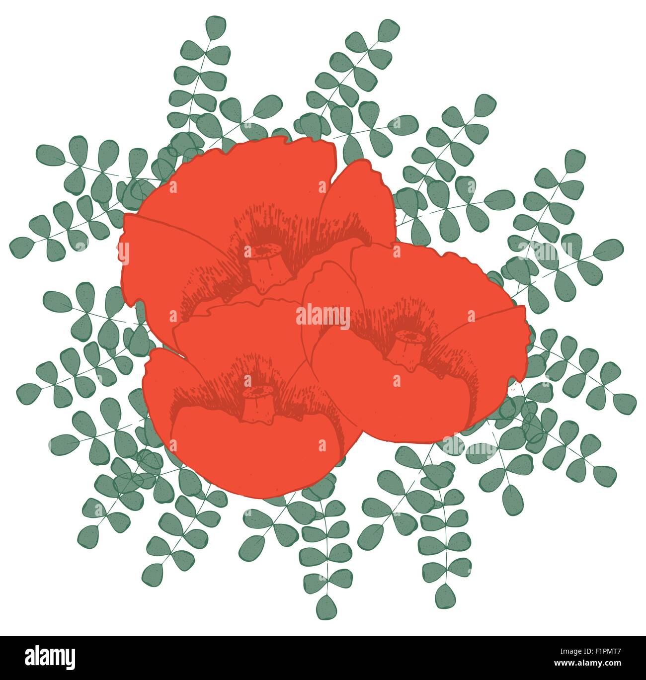 Hand drawn red poppies seamless vector illustration Stock Vector Image ...