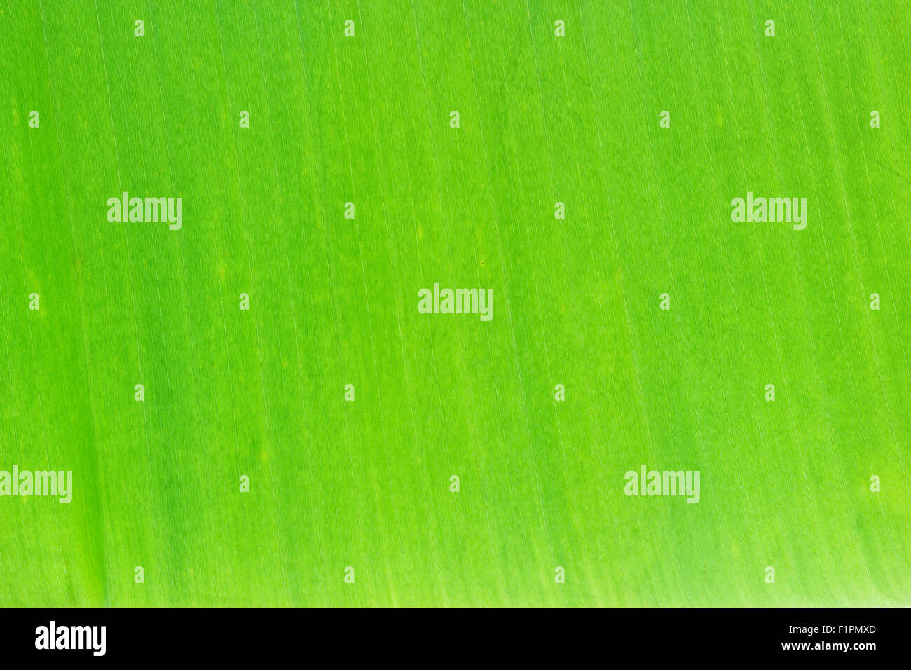 Abstract banana hi-res stock photography and images - Alamy
