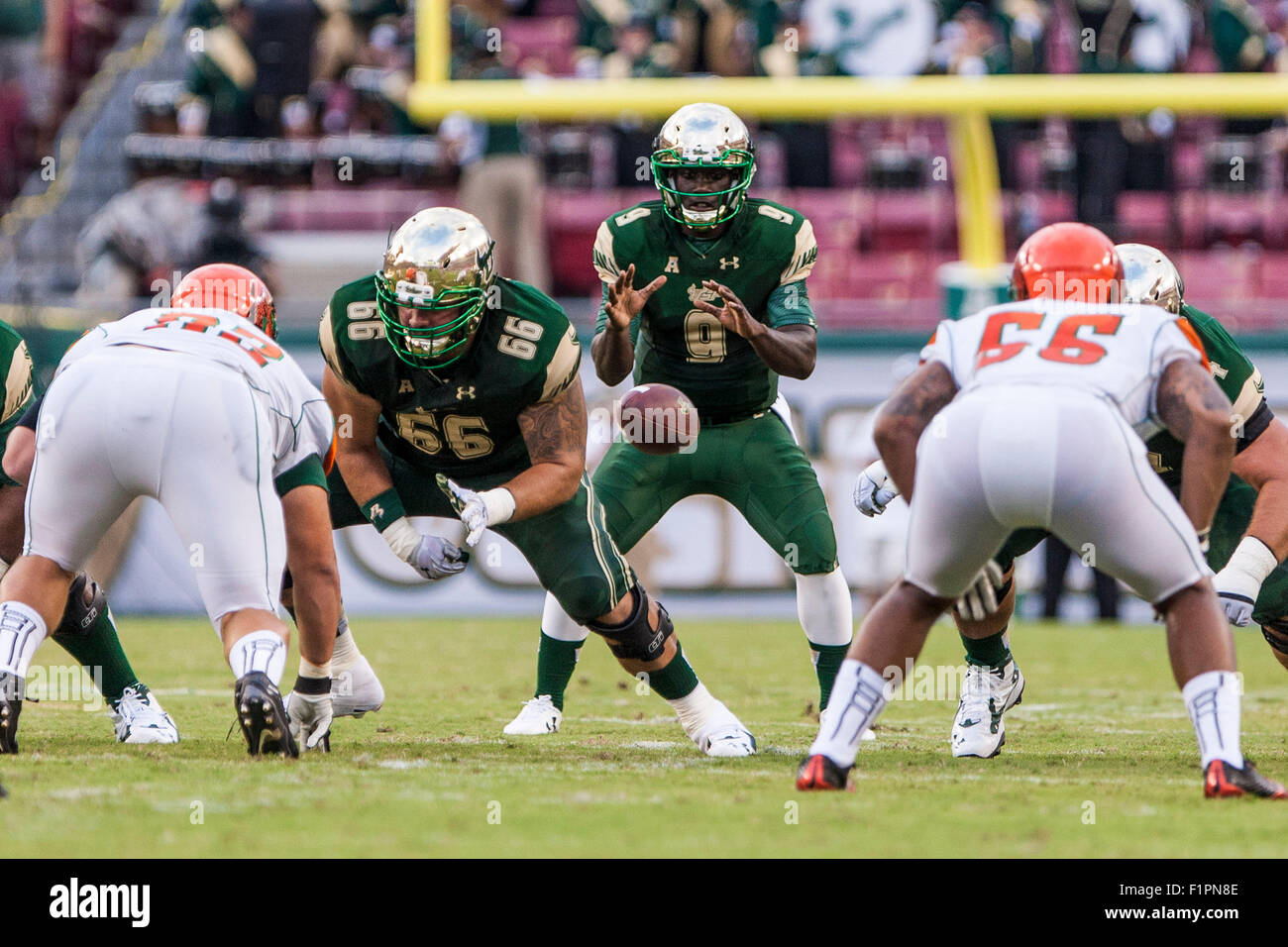 Usf bulls football 2015 hi-res stock photography and images - Alamy