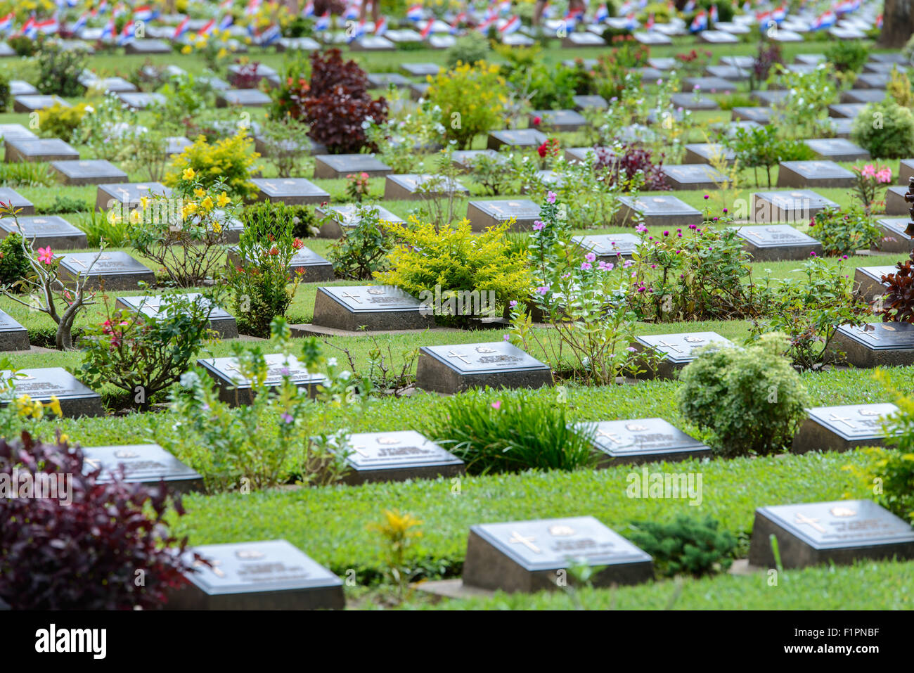 war cemetery in Kanchanaburi Province Thailand Stock Photo - Alamy