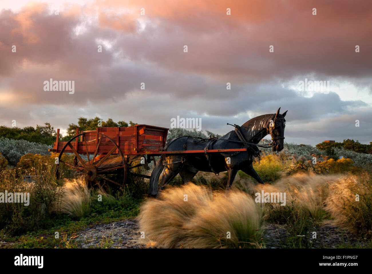 Irish horse carts hi-res stock photography and images - Alamy