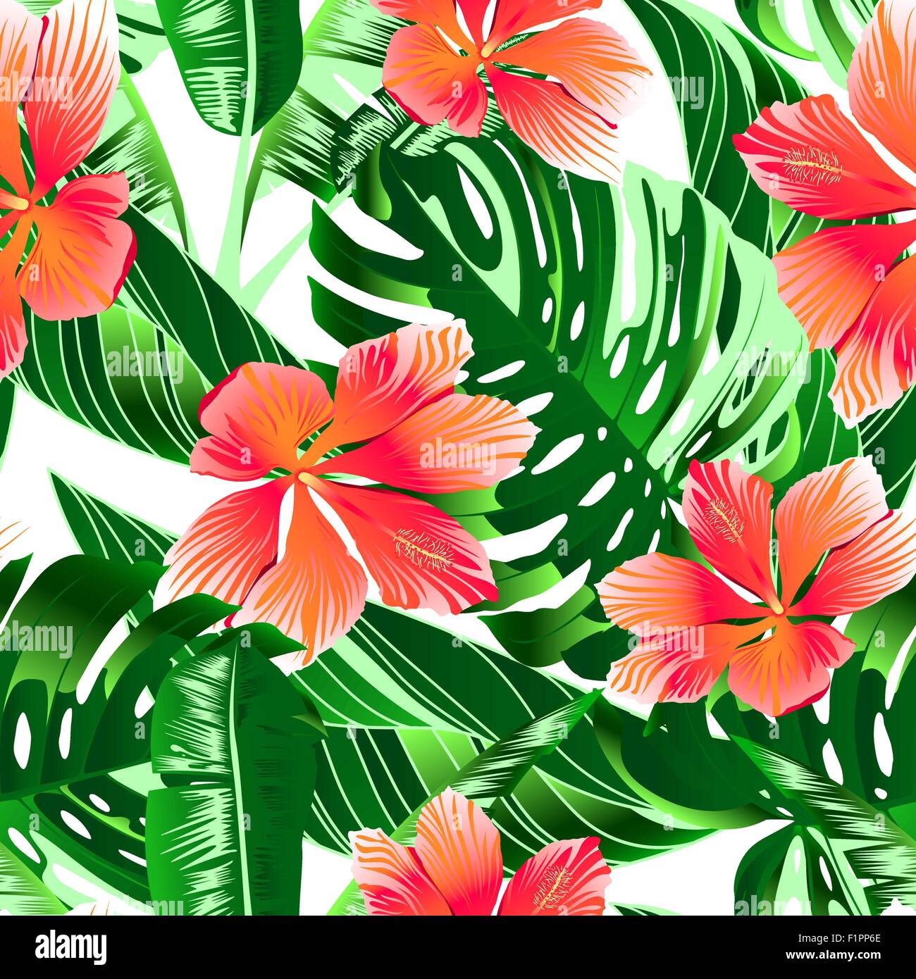 Hibiscus and plumeria flowers Stock Vector Images - Alamy