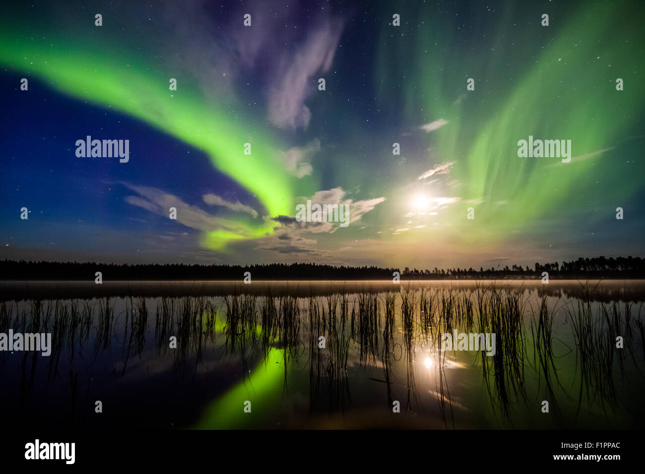 Moonlight lake shore night hi-res stock photography and images - Alamy