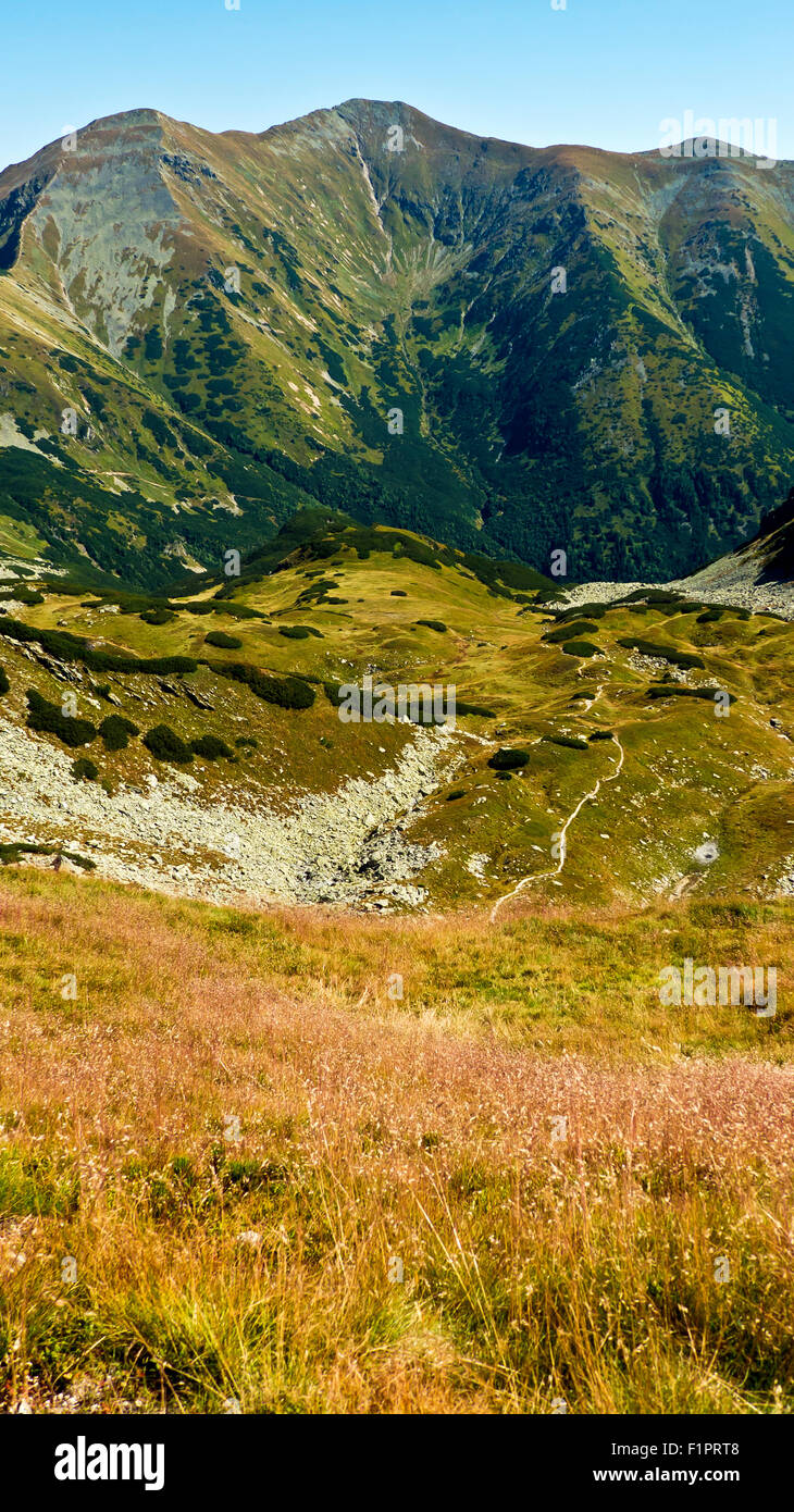 Tanap hi-res stock photography and images - Alamy