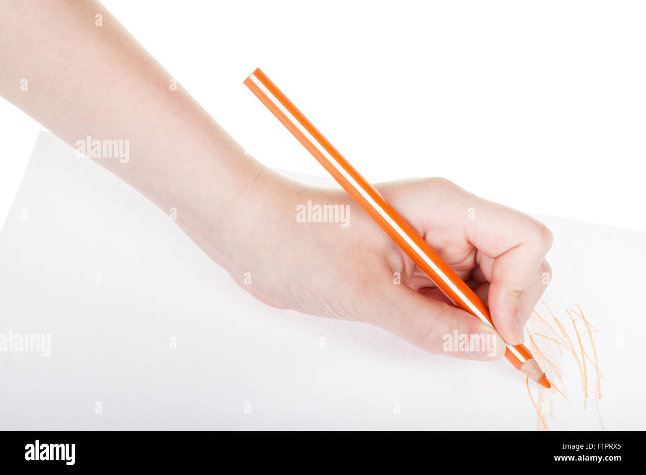 hand drafts by orange pencil on sheet of paper isolated on white ...