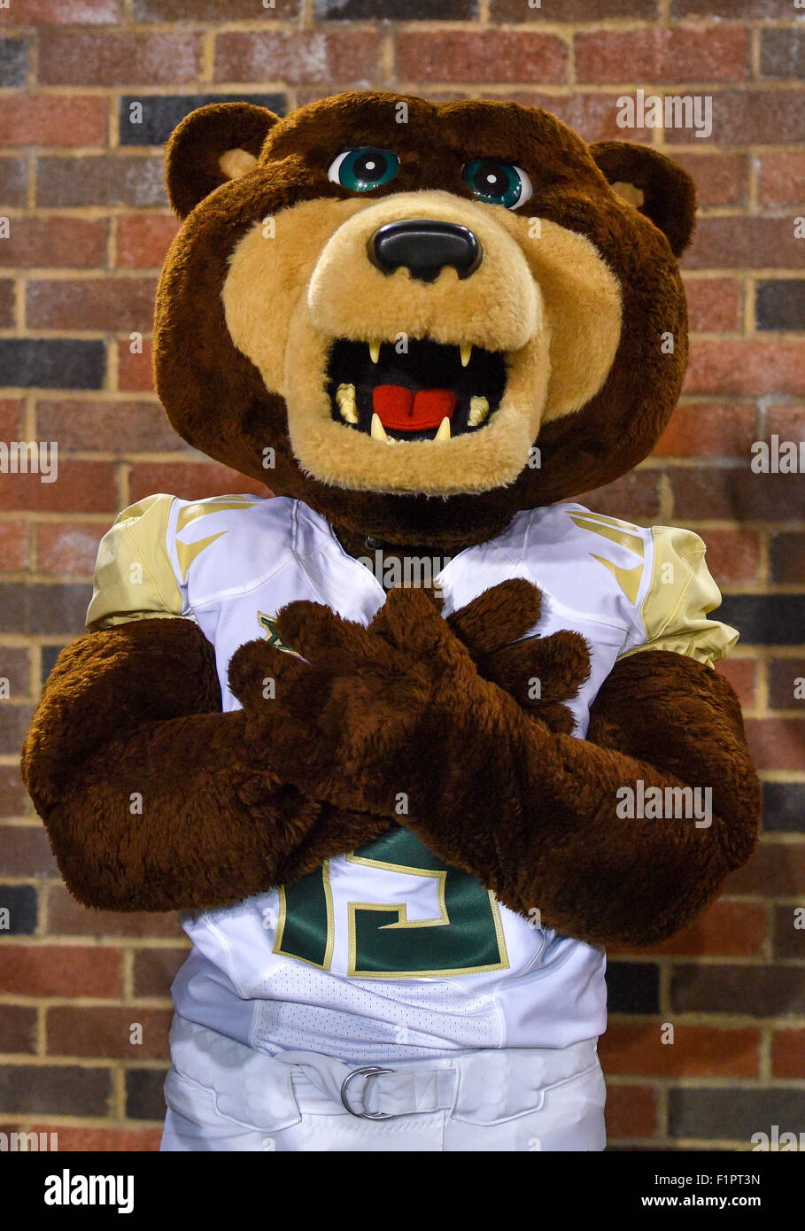 September 4th, 2015:.Baylor Bears mascot, Bruiser in action during an ...