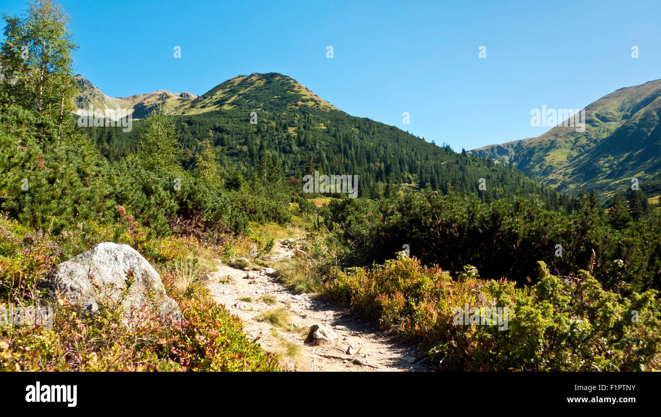 Tanap hi-res stock photography and images - Alamy