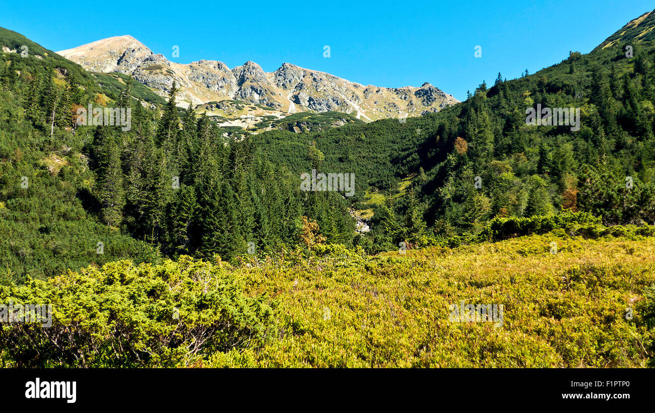 Tanap hi-res stock photography and images - Alamy