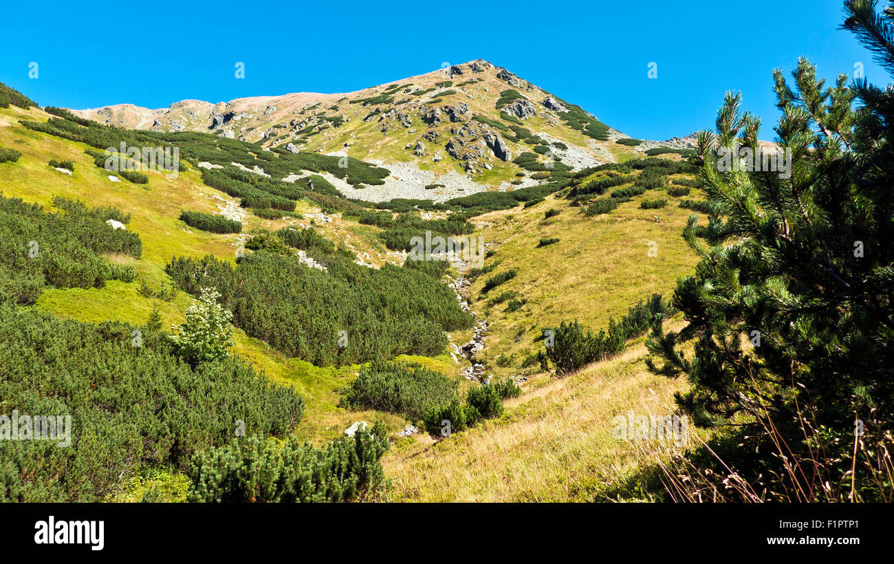 Tanap hi-res stock photography and images - Alamy