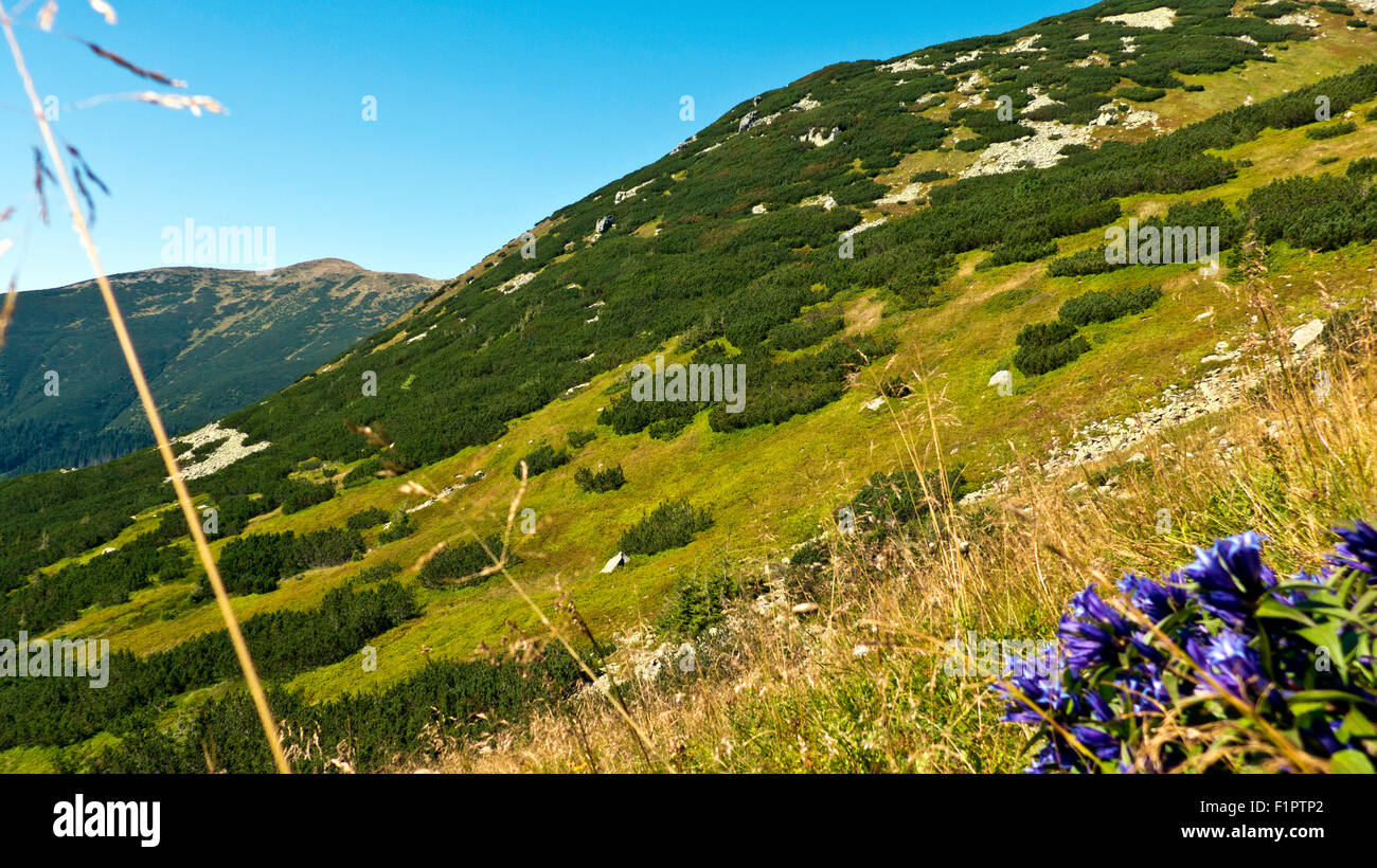 National park TANAP Stock Photo - Alamy