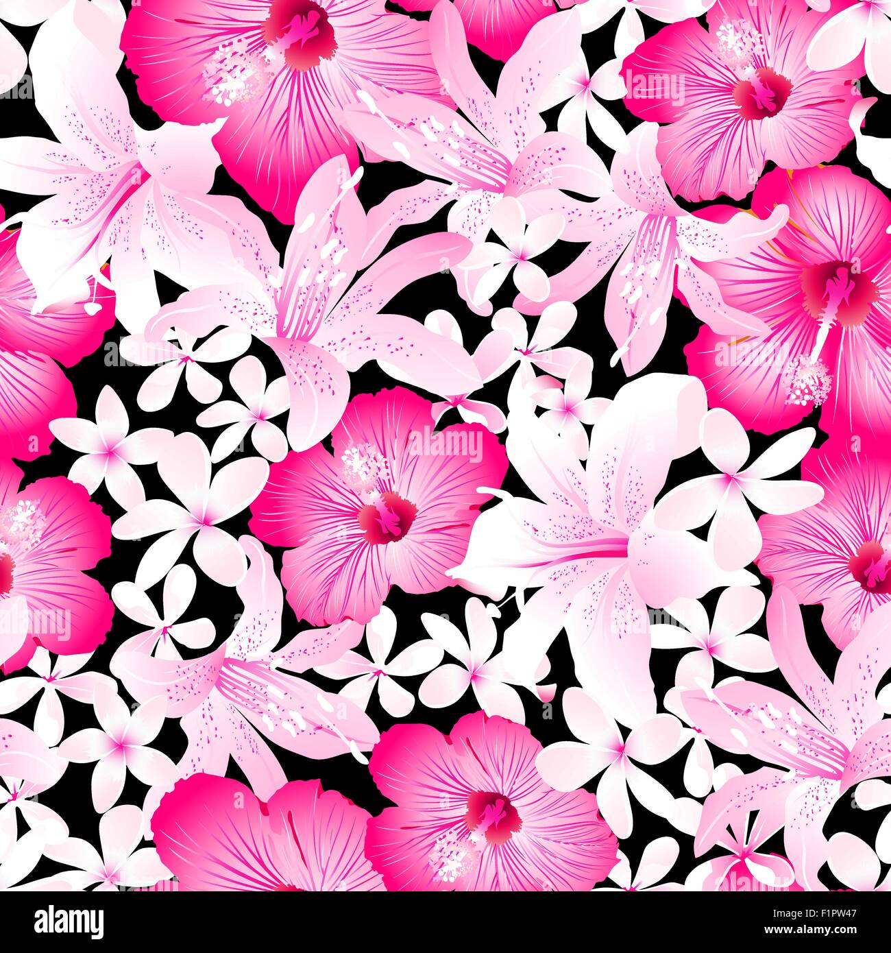 Frangipani white flowers Stock Vector Images - Alamy