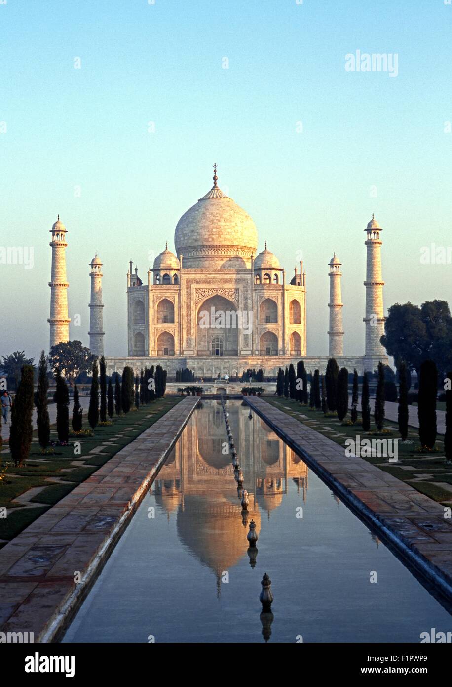 View of the Taj Mahal in the early morning light (built by Mughal ...