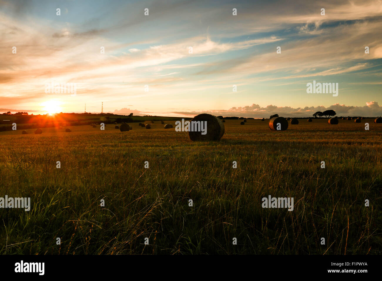 Hay Bales at sunset Stock Photo - Alamy