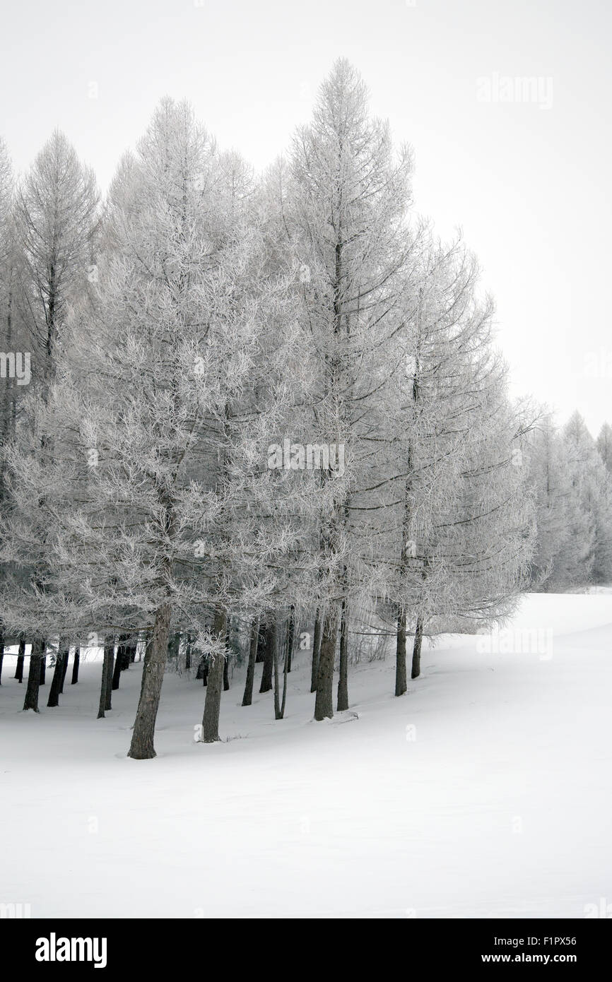 Stark winter landscape hi-res stock photography and images - Alamy