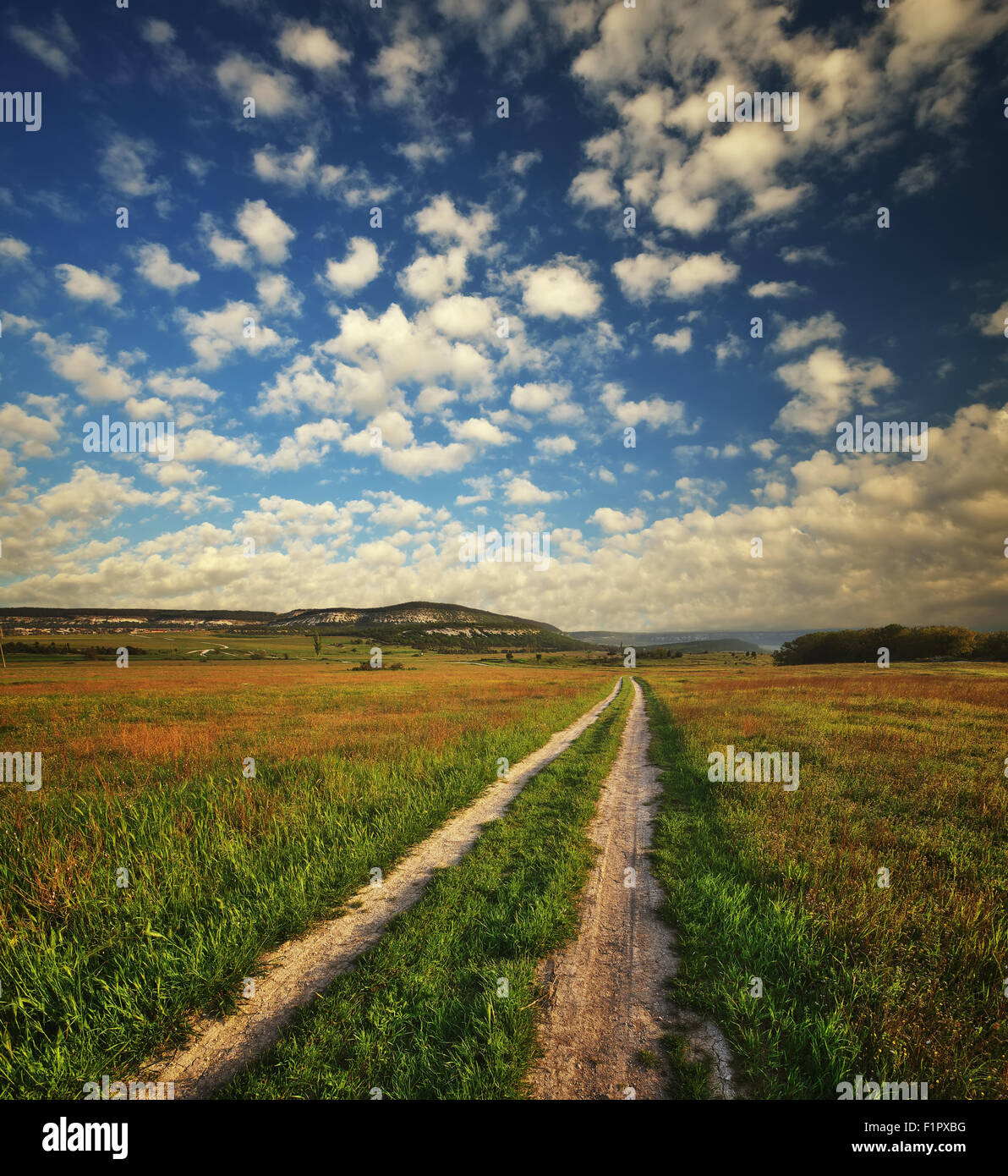 Country road hi-res stock photography and images - Alamy