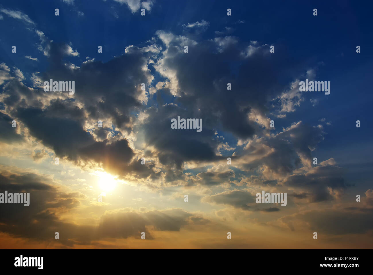 Beautiful sunset golden light hi-res stock photography and images - Alamy