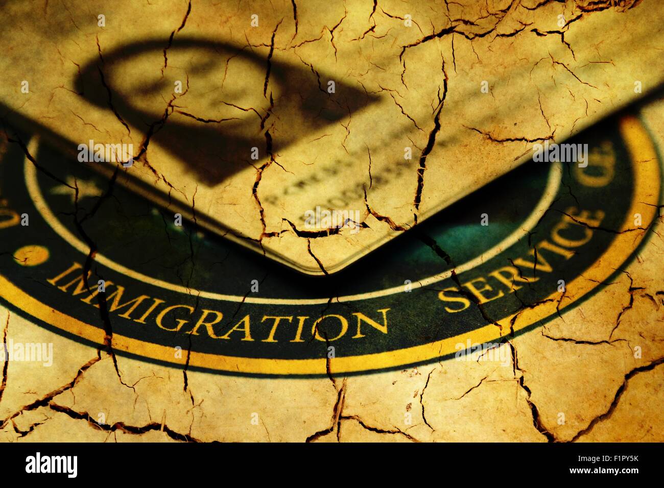 Immigration service grunge concept Stock Photo - Alamy