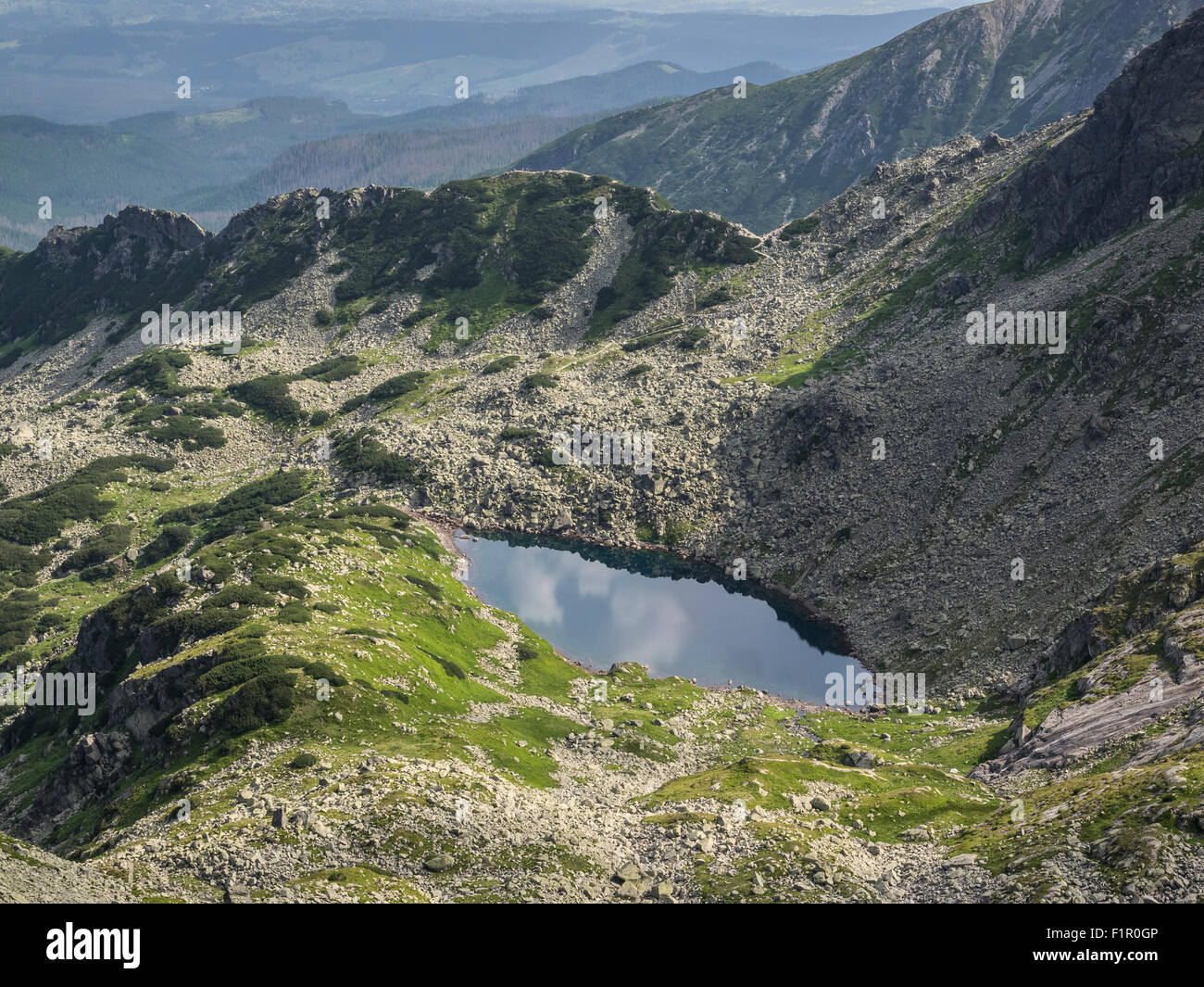 Tatra wildlife hi-res stock photography and images - Alamy