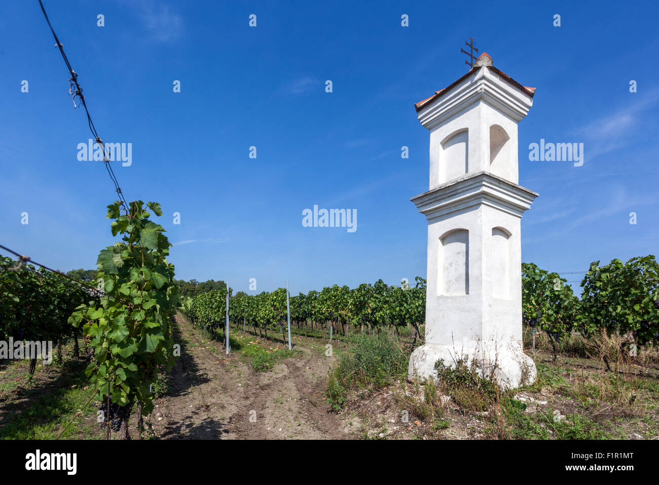 South Moravia Vineyards, Region Palava, Czech Republic Stock Photo - Alamy