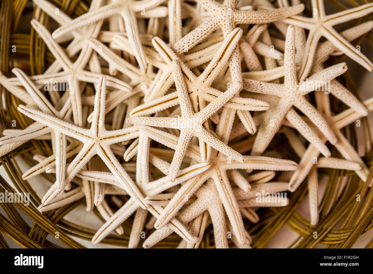 Group of Exotic Starfish in a Straw Basket Stock Photo - Alamy