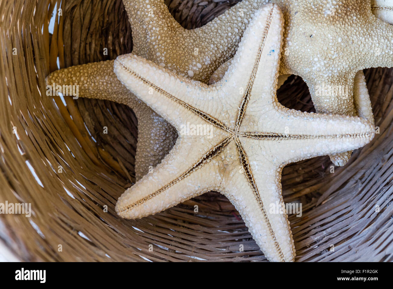 Group of Exotic Starfish in a Straw Basket Stock Photo - Alamy