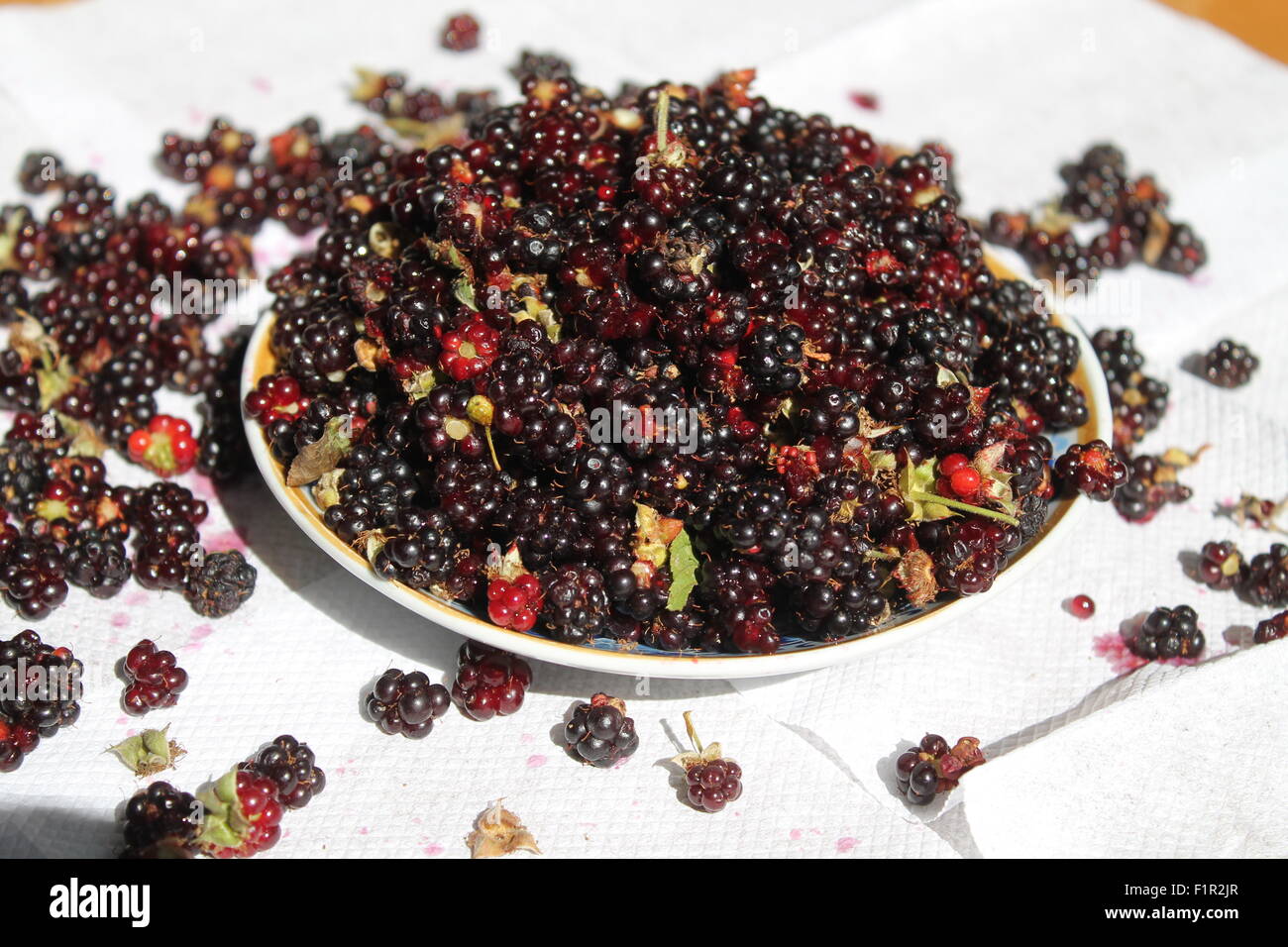 Bramble berries hi-res stock photography and images - Alamy